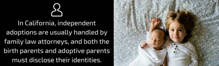 Why Are Adoptions So Complicated In California? I Family Lawyer