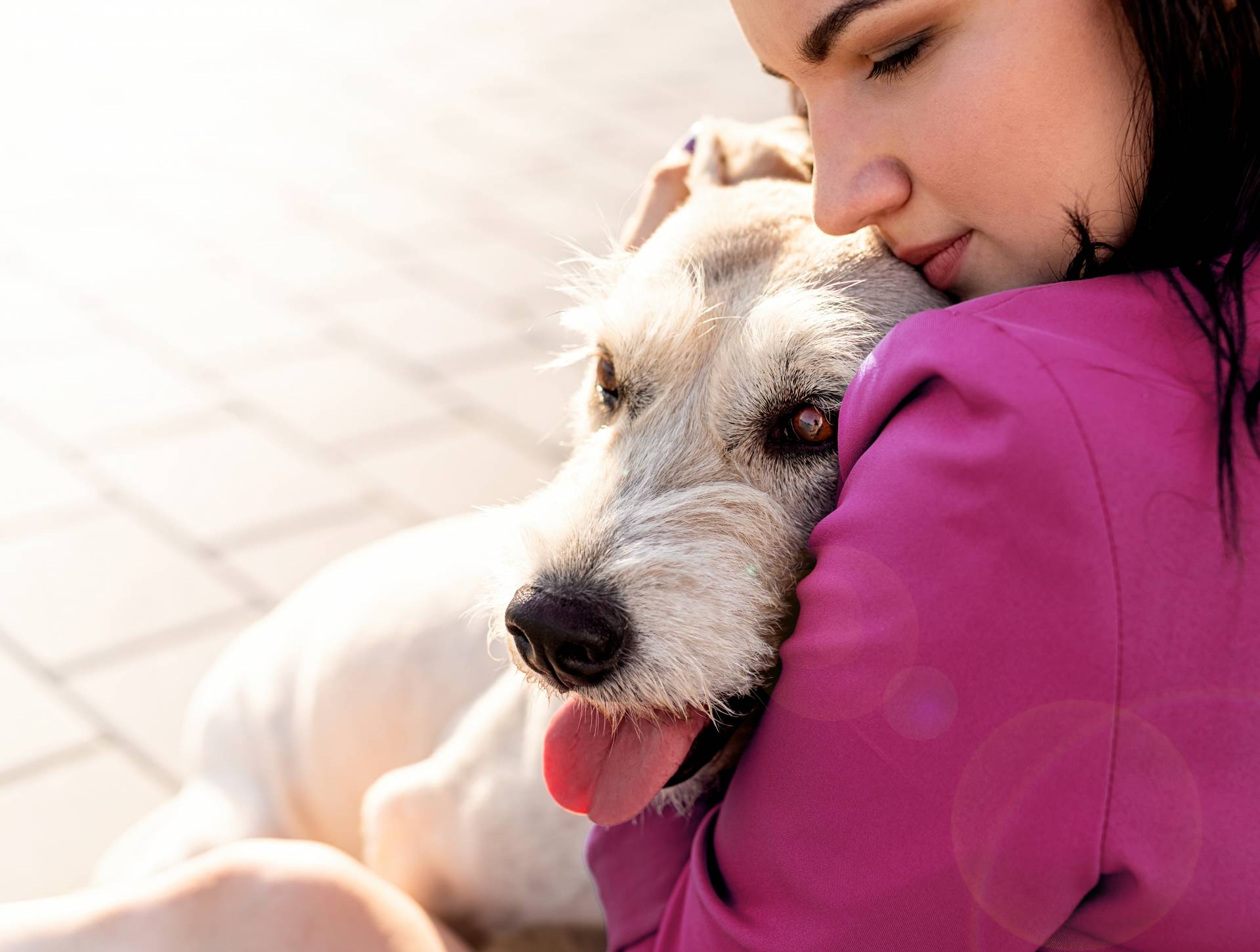 Do I Have Pet Visitation Rights After a Divorce in Orange County?